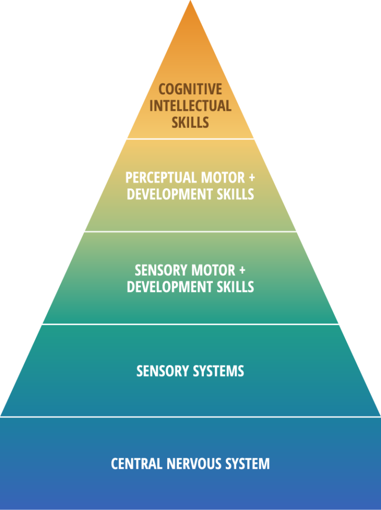 Curriculum - Raphael Village
